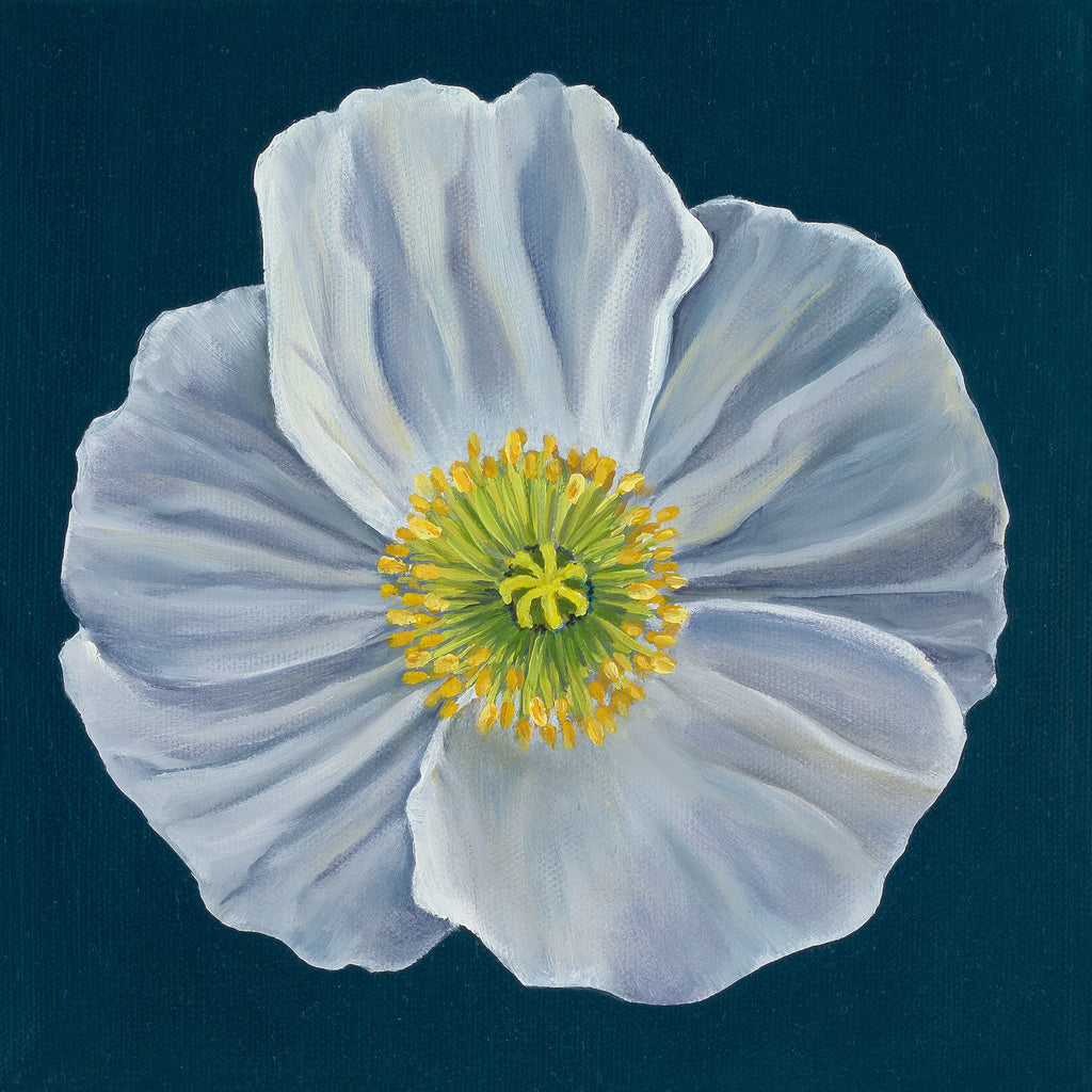 Poppy Print- "Grace" – Jess Quinn Art